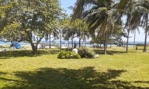 Tribuna de La Habana